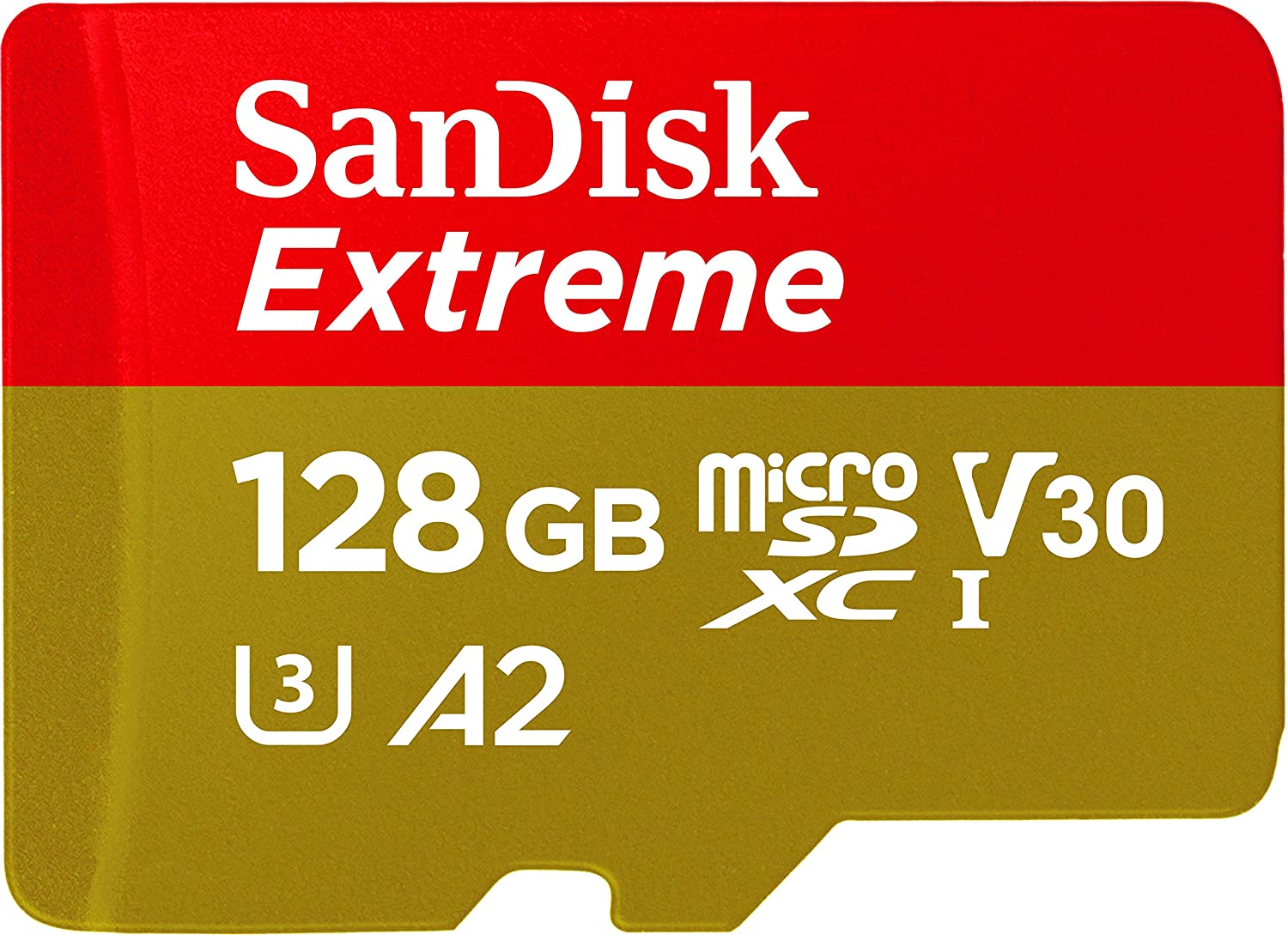Top 5 Best Memory Cards for GoPro Cameras in 2022