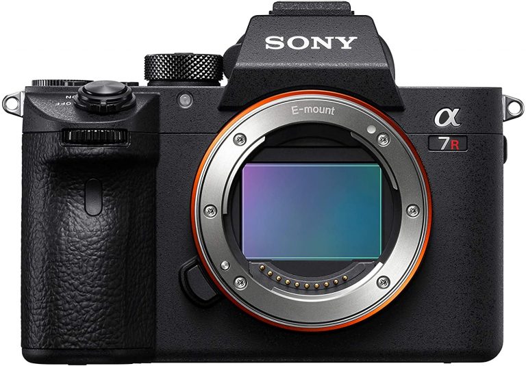 DSLR vs. Mirrorless Cameras - Which Is Better For You?