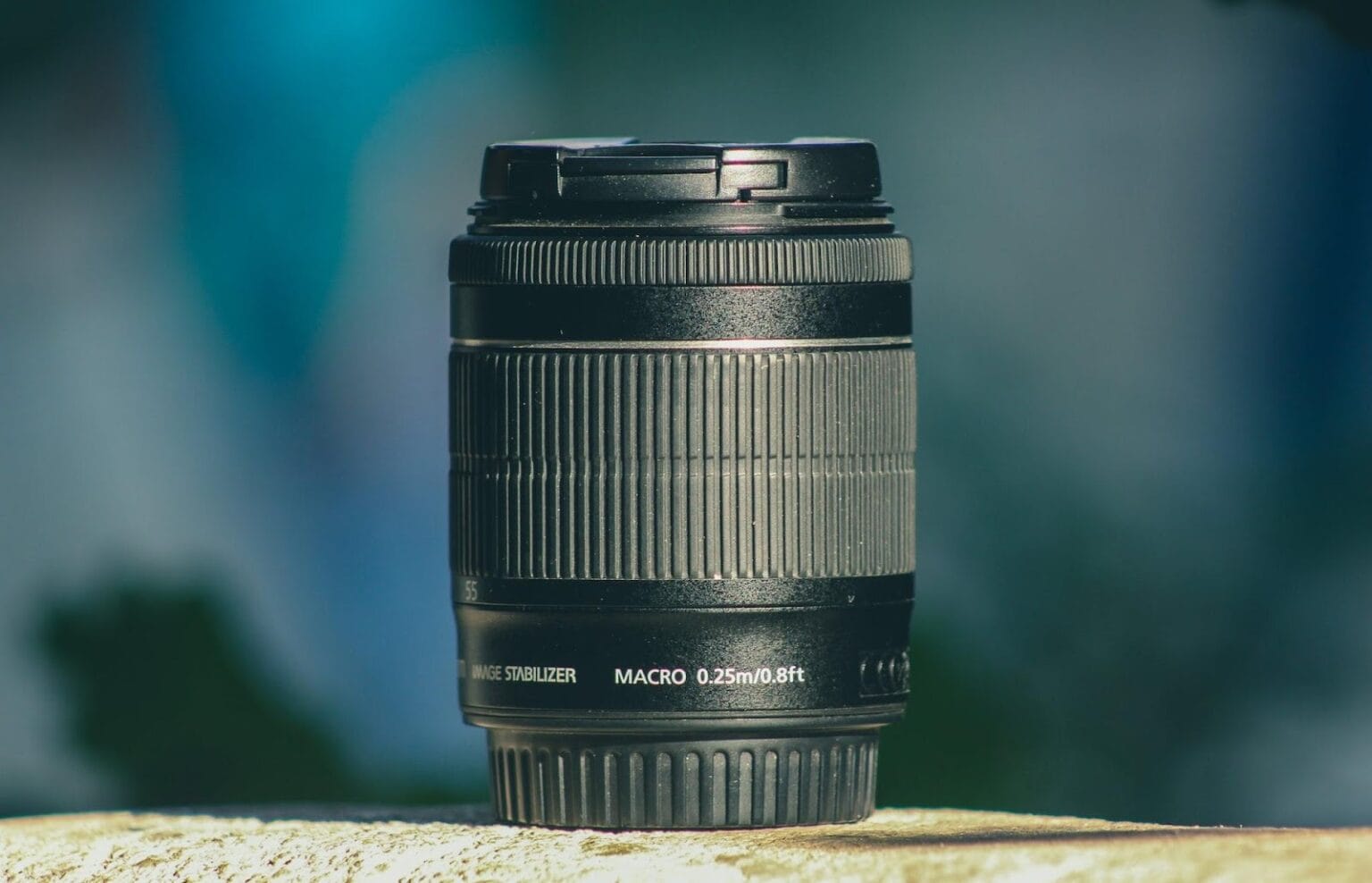 What Is a Macro Lens? - 2025 Complete Guide