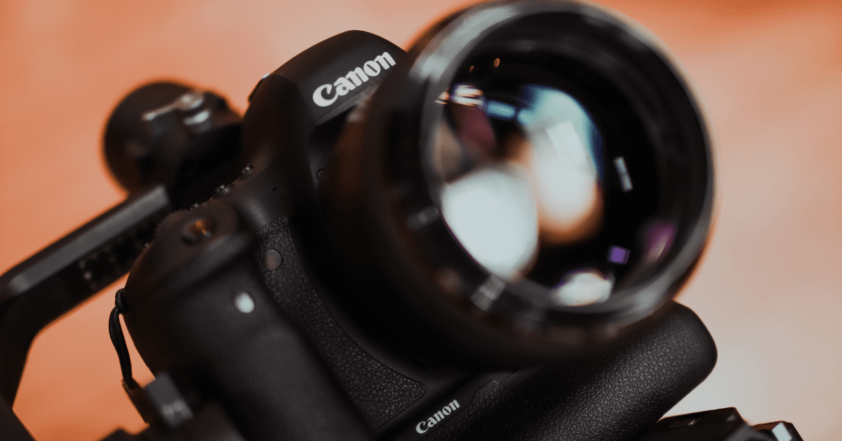 What Is a 75mm-300mm Lens Good For? - 2025 Guide